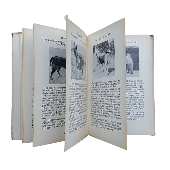 The Observer's Book of Dogs by Sonia Lampson (#8) | Country House ...