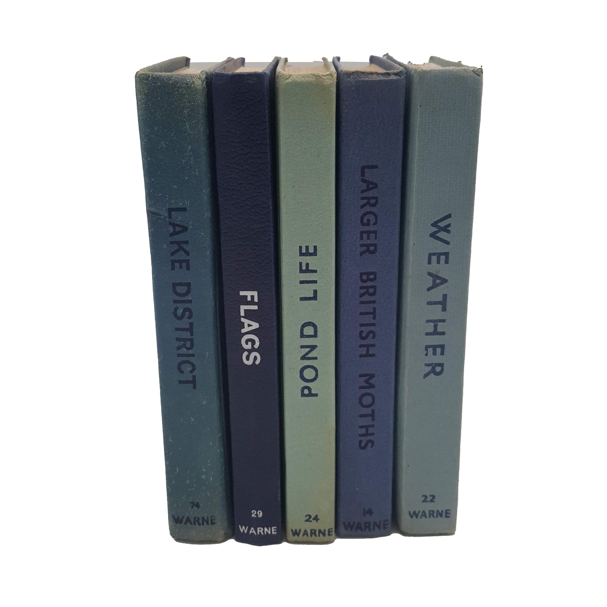 Observer Blue Collection | Country House Library - Country House Library