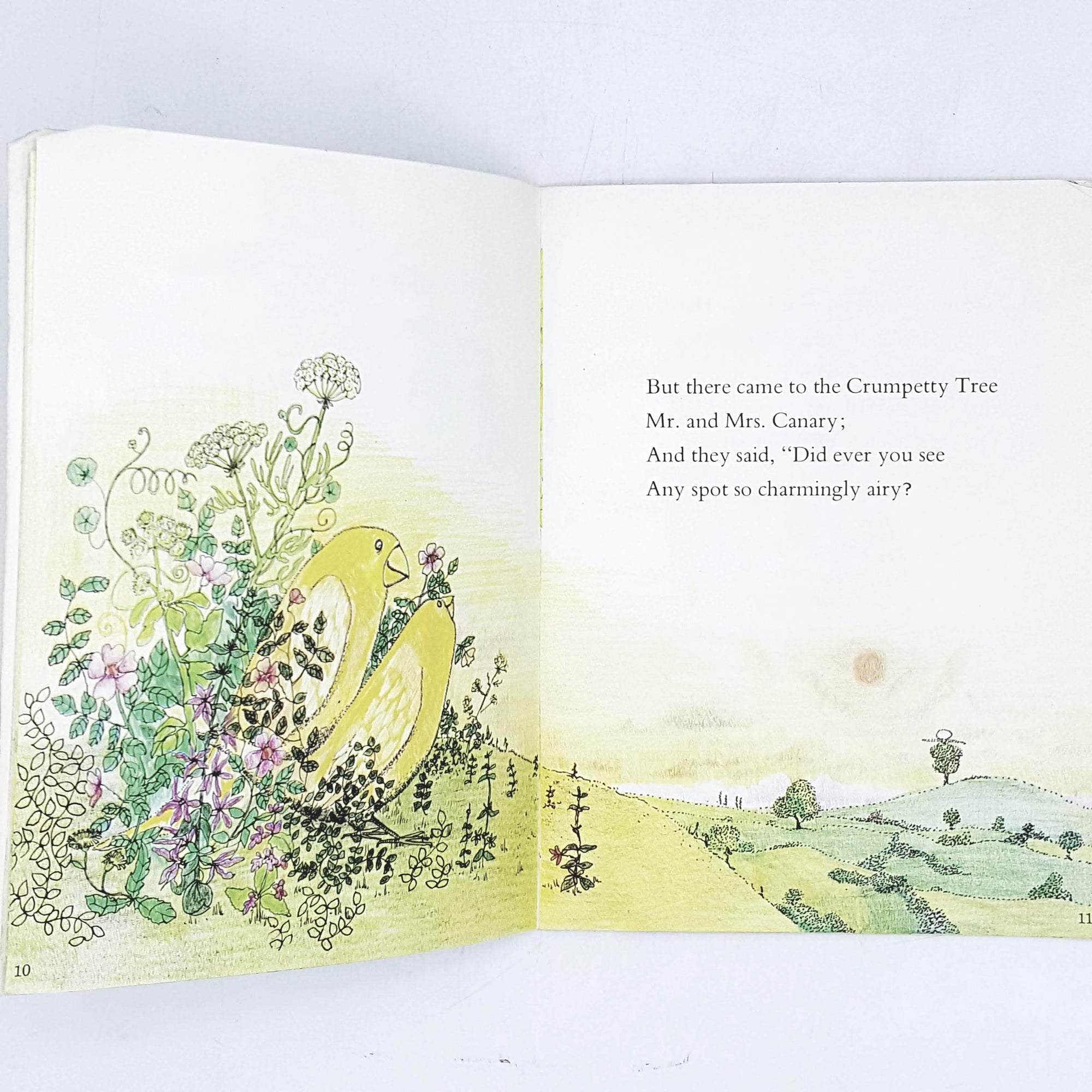 Illustrated Puffin The Quangle Wangle's Hat by Edward Lear 1977 ...