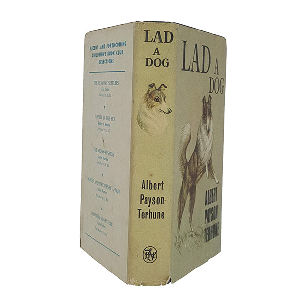 Lad a Dog by Albert Payson Terhune - Children's Book Club 1966 ...