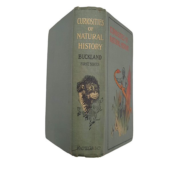 Curiosities of Natural History by Francis T. Buckland - Macmillan, 190 ...